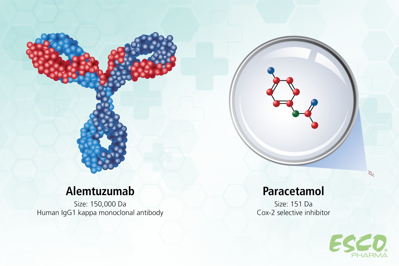 Molecule Molecule